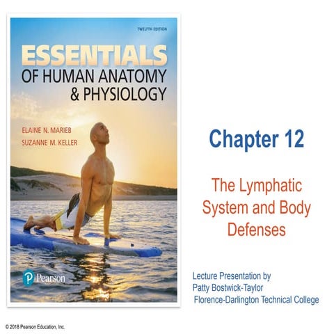 Lymphatic System Notes | PPT