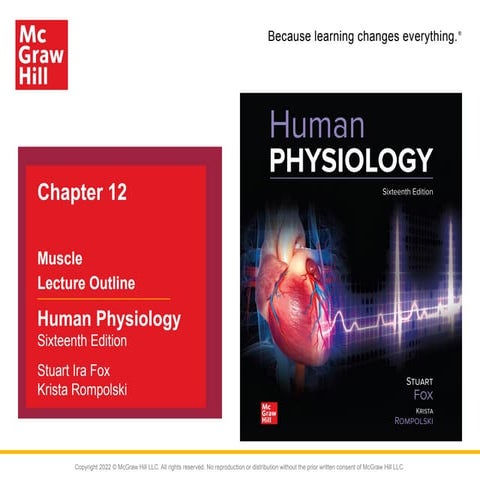 Ch 12 muscles Presented by Tyler Cox University of South Carolina.pptx