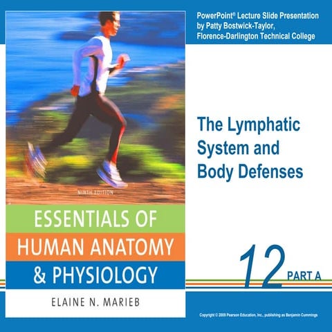 CVA A&P - Chapter 12: Lymph and Immunity | PPT