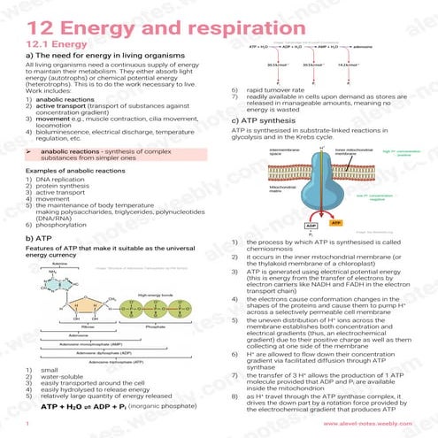 A level BioCH12 Reviewer Energy & Respiration.pdf
