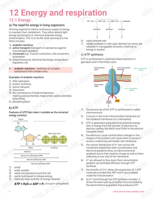 Hydrolysis of ATP | PDF