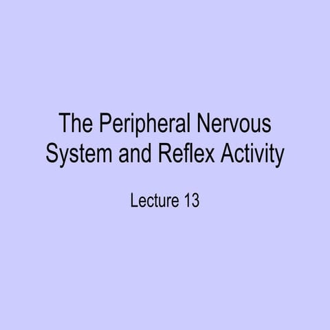 Ch 13 the peripheral nervous system and nervous activity | PPT