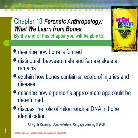 Forensic anthropology | PPT