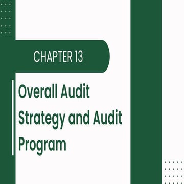 Overall audit strategy and audit program.pdf