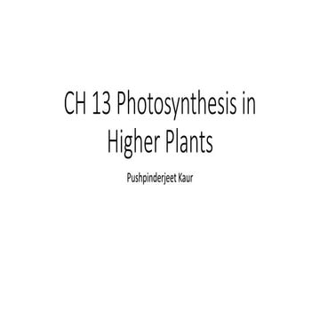 Respiration in higher plants class 11th NCERT bio | PPTX