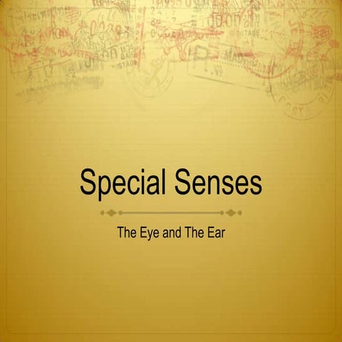 Special Senses: Eye and Ear | PPTX