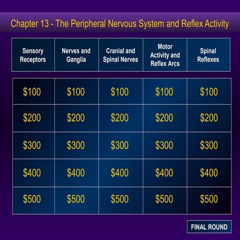 Ch 13 spinal cord jeopardy | PPT