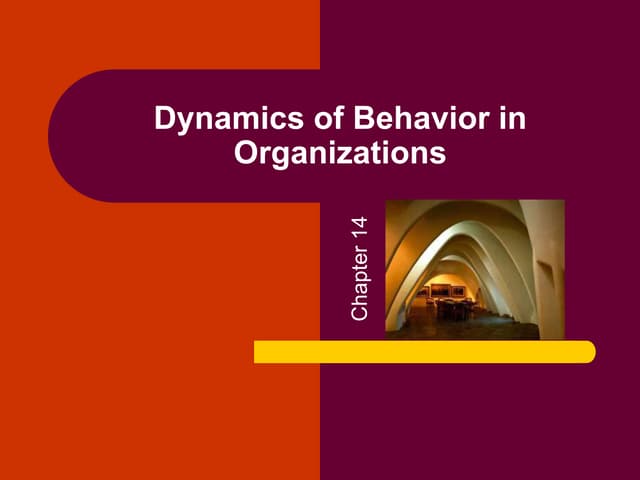 Organizational Dynamics | PPT