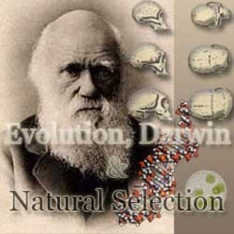 darwin evolution by R 3.pptx
