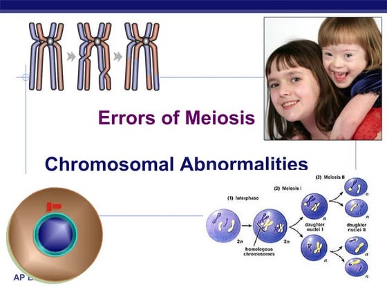 Genetic Disorders due to Error in Meiosis | PPT