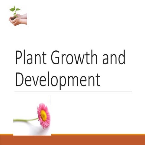 Chapter 15. Plant Growth and Development | PPTX