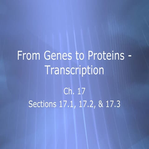 AP Bio Ch 17 part 1 translation | PPT
