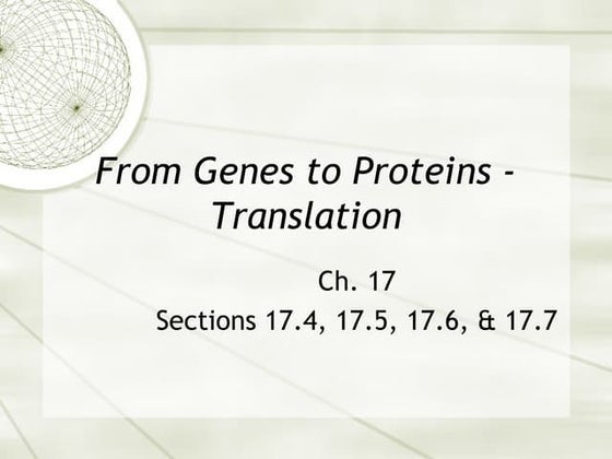 Translation- formation of protein from mRNA | PPT