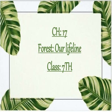 ch 17 ppt class7.pptx