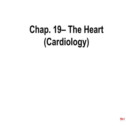 Ch19-Heart.ppt