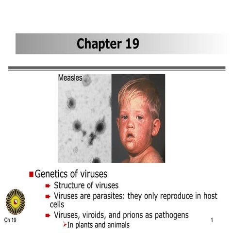 Ap Viruses | PPT