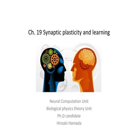 Ch 19 synaptic_plasticity | PPTX