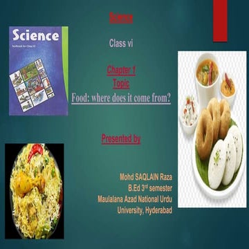 Food from plants | PDF