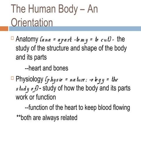 Chapter 1: The Human Body - An Orientation | PPT