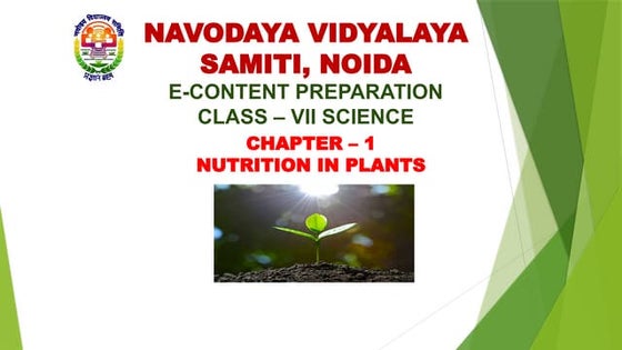 Chapter - 1, Nutrition in Plants, Science, Class 7 | PDF