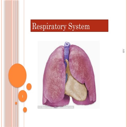 ch Upper respiratory tract.finished.pptx