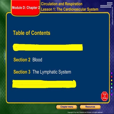 Ch 2.1 Cardiovascular system grade 7 biology levels | PPT