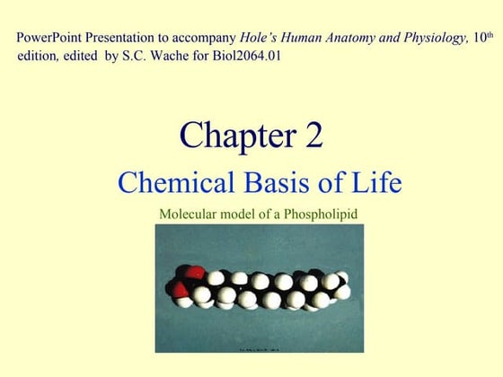 Lesson 8 Introduction to Biological Molecules | PDF | Chemistry | Science