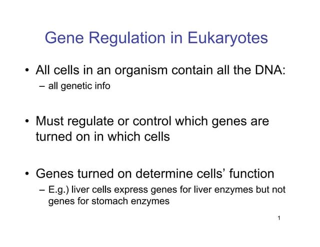 Lecture notes GENE REGULATION IN EUKARYOTES.pdf