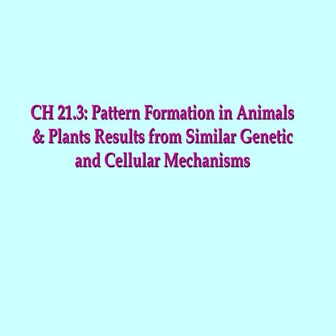 AP Bio Ch 21 | PPT