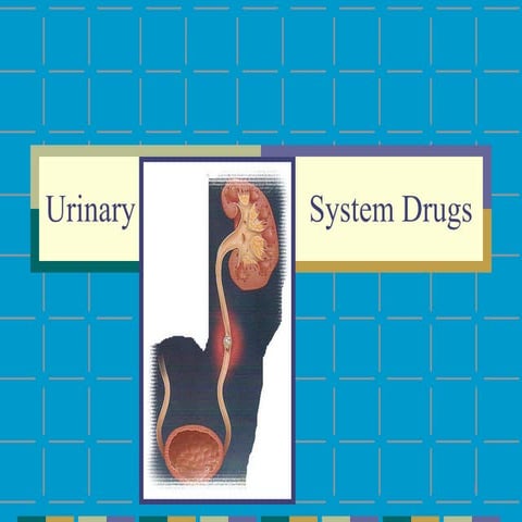 urinary system drugs | PPT