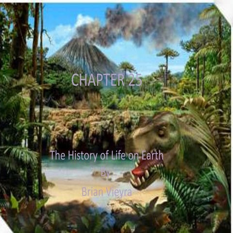 Unit 7 History of Life Notes | PPT