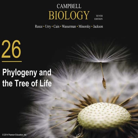 ch_26_-_phylogeny_and_the_tree_of_life.pptx