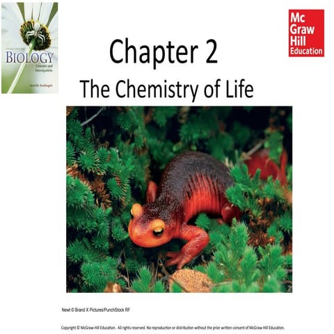 Ch2_Chemistry of Life_Hoefnagels - 2023.pptx