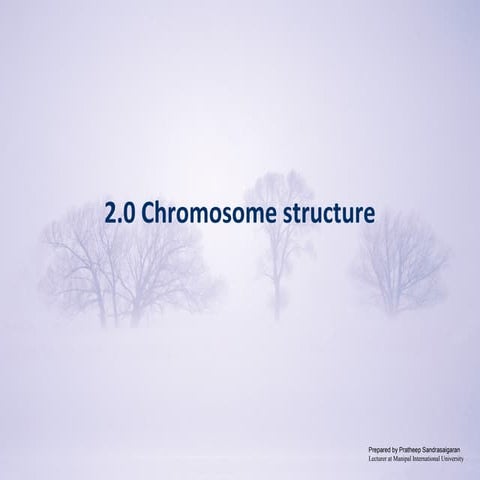 Ch2 chromosome structure | PPT | Biological Sciences | Science