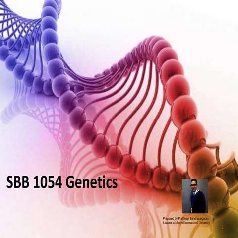 Chromosome structure_.ppt | Biological Sciences | Science