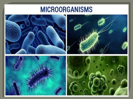 Microorganisms | PPT