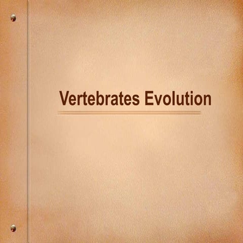 AP Biology Vertebrate Evolution | PPT