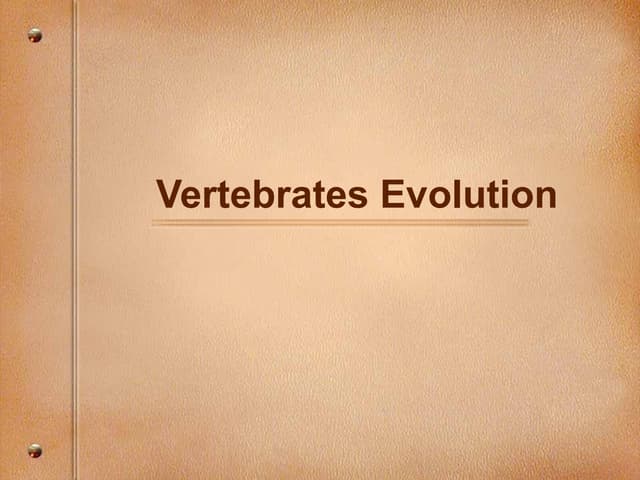 Vertebrates Powerpoint | PPTX