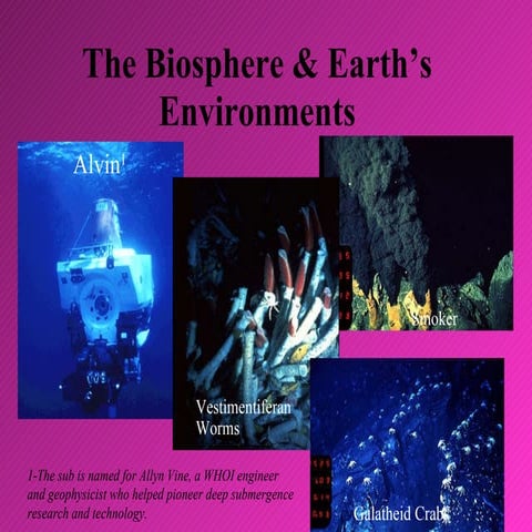 Ch 34: The Biosphere & Earth's Environments | PPT