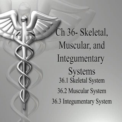 Chapter_36_Skeletal_Muscular_and_Integ.ppt