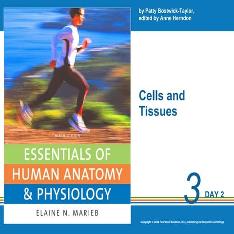 types of animal tissues class 9 | PPTX