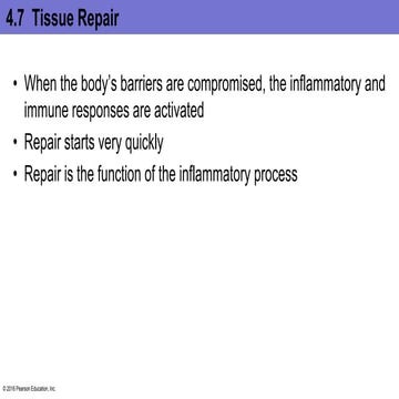 3 haines recovery position | PPTX