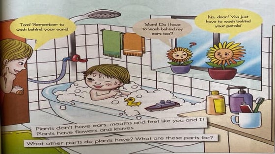 Digestive System Grade 4 igcse easy notes ppt | PPT | Nutrition ...