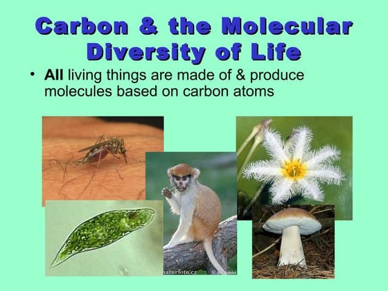 The Chemistry of Life | PPT