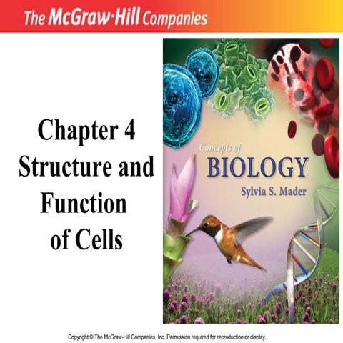 Ch 4 structure and function of cells | PPT