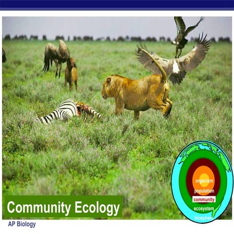 Ch53 communityecology2010 | PPT