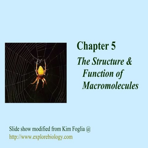 Advanced biochemistry, ppt: Temesgen Assefa | PPTX