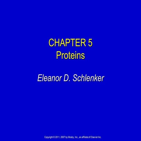 Ch 5 ppt | PDF