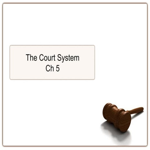 Ch 5 the court system | PDF
