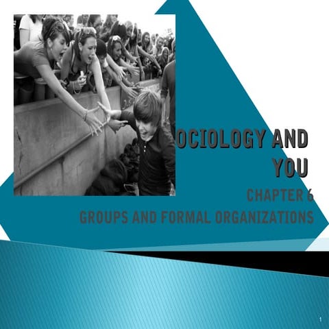 Sociology - Groups | PPT